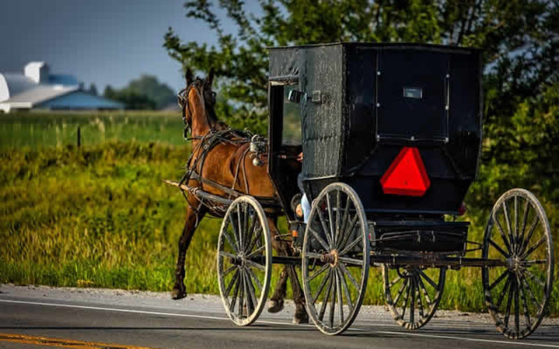Rising Trends of the Amish Furniture and Decor Today